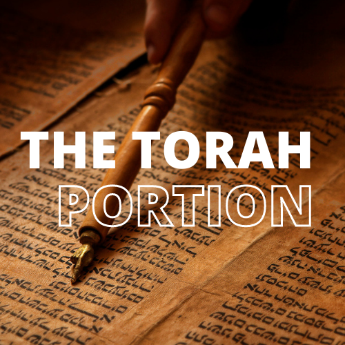 Torah Portion Logo – The Torah Portion
