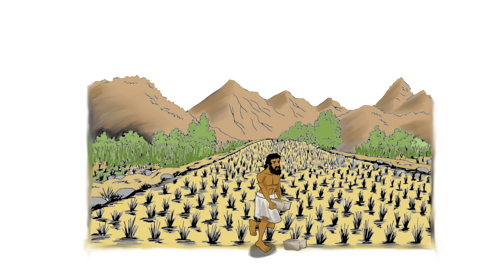 Torah_Portion_Behar – The Torah Portion