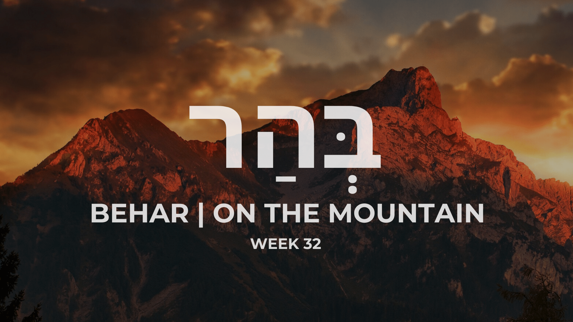 behar – The Torah Portion
